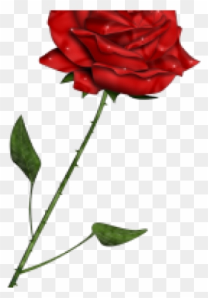 Phantom Of The Opera Rose Png