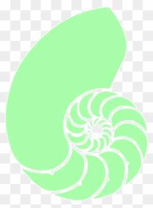 Nautilus Shell Kappa Delta - Free Transparent PNG Clipart Images Download