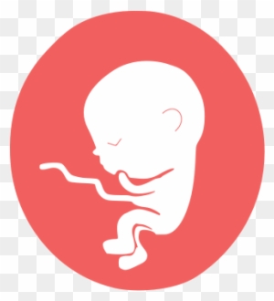 Fetus Stickers Messages Sticker-8 - Mail Icon - Free Transparent PNG ...