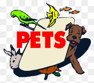 Pet Store Sample - Pet Store Png - Free Transparent PNG Clipart Images ...