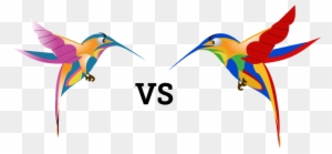 Google Hummingbird Free Image Thoughtshift - Hummingbird - Free ...