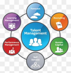 Talent Mapping - Talent Management Icon - Free Transparent PNG Clipart ...