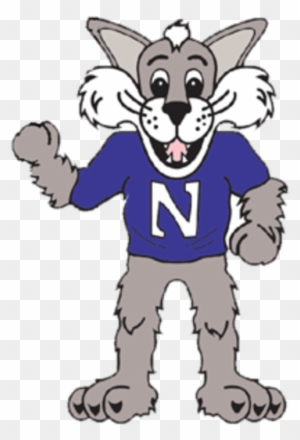 Ask A Cat Fresh U Rh Northwestern Freshu Io High School - Willie The ...