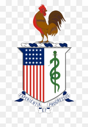 High Definition Image Of Coat Of Arms - Amedd - Free Transparent PNG ...