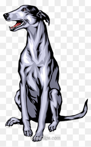 Greyhound Royalty Free Vector Clip Art Illustration - Greyhound Dog ...