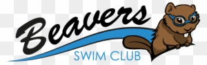 Beavers Swim Club Logo Illustration - Bell Cosmetics - Free Transparent ...