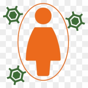 19 - Immune System - Free Transparent PNG Clipart Images Download