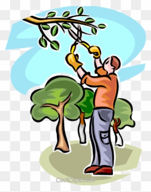 Clipart For Tree Trimming & Clip Art For Tree Trimming - Tree Trimming ...