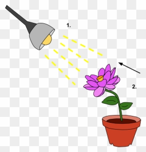 Responding Clipart Flower