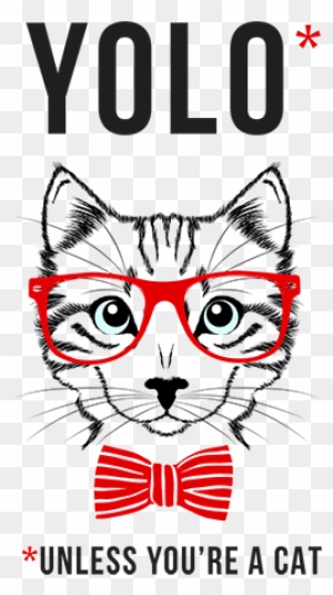 Yolo Cat T-shirt - Hipster Cat Shower Curtain - Free Transparent PNG ...