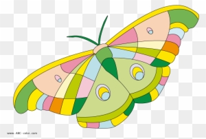 Butterfly Raster Clipart - Метелик На Прозорому Фоні - Free Transparent ...