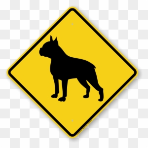 Boston Terrier Dog Breed Information - Boston Terrier Dog Png - Free ...