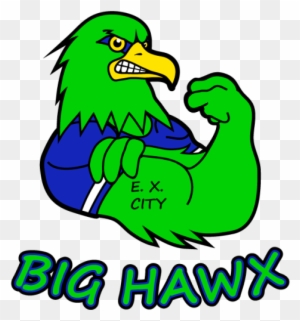 The New Logo Has A Hawk Carrying A Football - The New Logo Has A Hawk ...