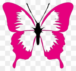 Butterfly Pink Nature Summer Spring Insect - Pink Butterfly Clipart ...