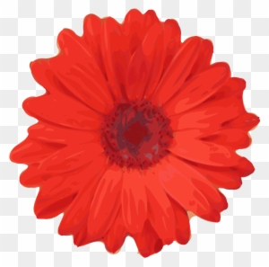 Real Flower Clipart, Transparent PNG Clipart Images Free Download ...