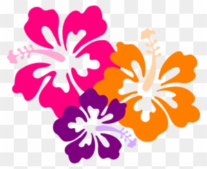 Hibiscus Color Trio Clip Art At Clker - Hibiscus Clip Art - Free ...