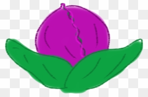 Plant Families - Seed Savers Exchange - Free Transparent PNG Clipart ...