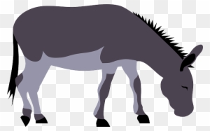 Animal Donkey Farm Grassing Gray Cute Grey - Donkey Png Clip Art - Free ...