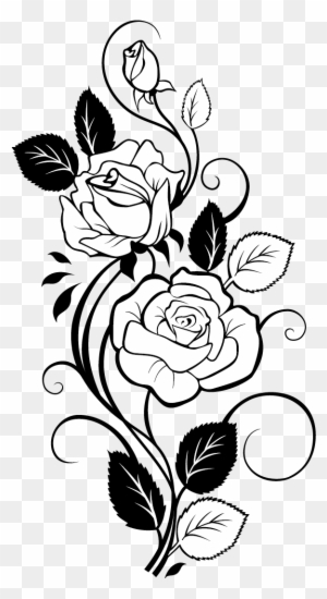 Rose Vine Clipart Rose Vine Drawing Clipart Library - Vine With Roses ...