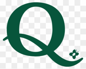 Letter Q Png Image Background - Letter Q With A Transparent Backound ...