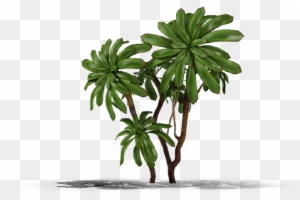 Product Item - Plants - Free Transparent PNG Clipart Images Download