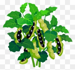 Leaf Succulent Plant Euclidean Vector Illustration - Succulent Plant ...