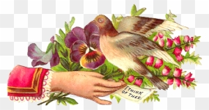Free Bird Clip Art - Victorian Hand Art - Free Transparent PNG Clipart ...