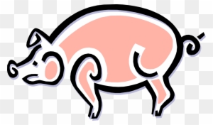 Vector Illustration Of Farm Agriculture Livestock Animal - Domestic Pig ...