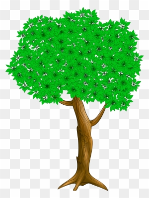 Tree Nut Nirvana - Almond Tree Flower Png - Free Transparent PNG ...