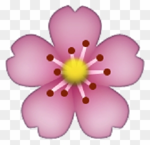 Daisy Flowers Emoji Copy And Paste | Best Flower Site