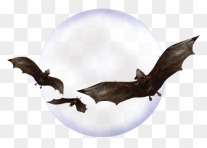 Bat-056 - Vampire Bat - Free Transparent PNG Clipart Images Download