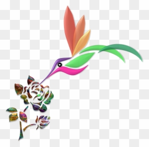 Birds Illustrations Art & Islamic Graphics - Animal Decals - Free ...