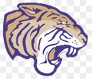 Olivet Nazarene University Tiger - Free Transparent PNG Clipart Images ...