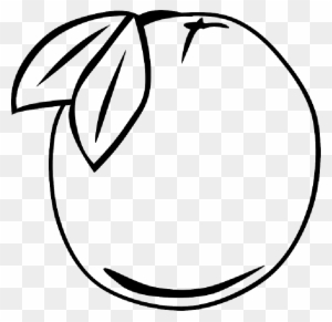 Simple Drawing Of Orange - Free Transparent PNG Clipart Images Download