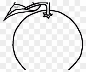 Orange Fruit Clipart Florida State - Line Art - Free Transparent PNG ...