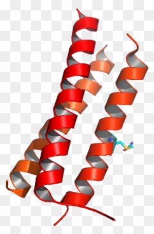 Scare Birds Away - Free Transparent PNG Clipart Images Download