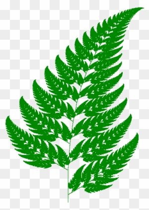 Fern Leaf Clip Art