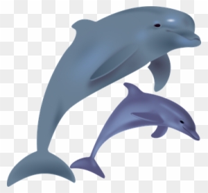 Dolphins Clipart Ocean Life - Sea Creature Clip Art - Free Transparent ...