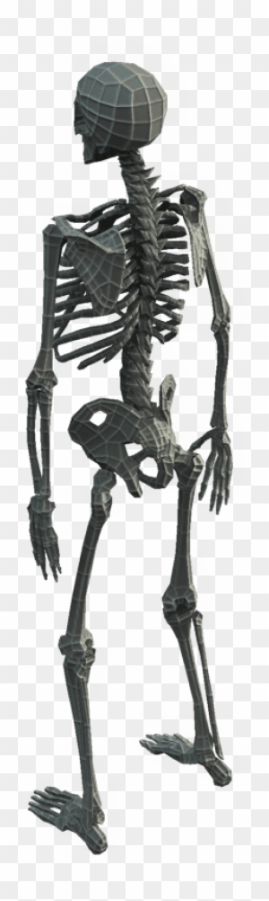 Base Mesh Skeleton - Low Poly - Free Transparent PNG Clipart Images ...