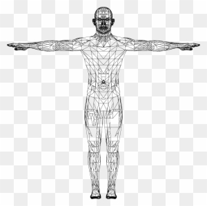 Low Poly Man Wireframe - Figure Drawing - Free Transparent PNG Clipart ...