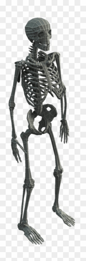Skeleton Png - 3d Skeleton Png - Free Transparent PNG Clipart Images ...