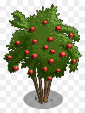 Pomegranate Tree Clipart