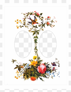 Png - Frame - Bird Collage - Free Transparent PNG Clipart Images Download