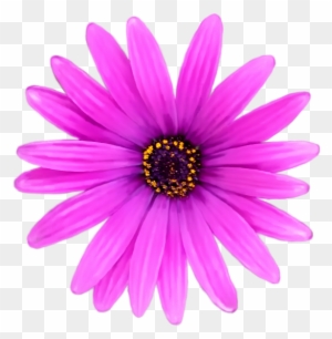 Flowers Png - Adobe Photoshop - Free Transparent PNG Clipart Images ...