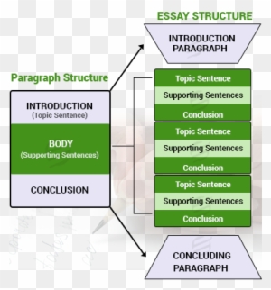 Academic Essay Structure