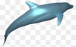 Cool Animated Dolphins Clip Art Images At Best Animations - Vaporwave ...