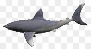 Transparent Fish Gif - Swimming Shark Animated Gif - Free Transparent ...