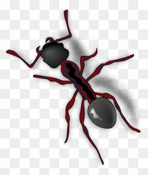 Transparent Background Ant Gif - Free Transparent PNG Clipart Images ...