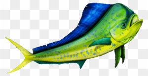 Let's Go Fishing - Bull Mahi Rectangle Magnet - Free Transparent PNG ...
