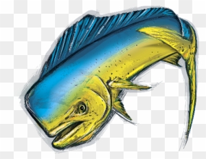 O Dourado Do Mar É Uma Espécie Migradora, Que Vive - Peixe Dourado Do ...